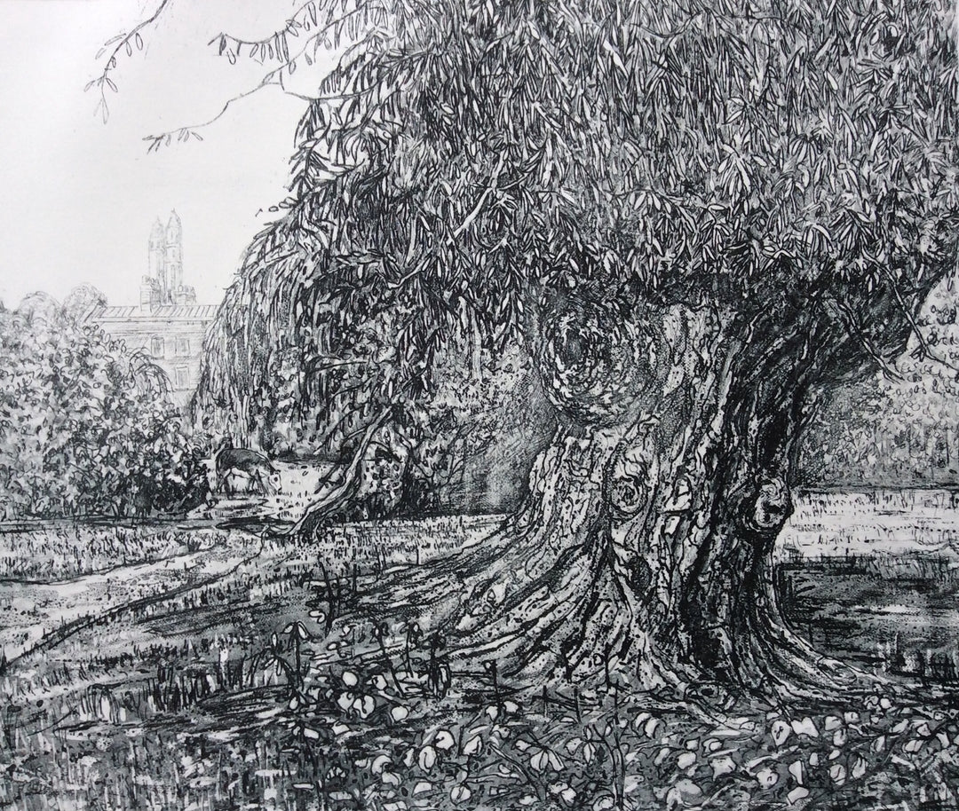 Etchings – Louise Stebbing Printmaker